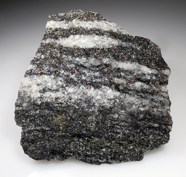 Metamorphic rock: Mineral information, data and localities.