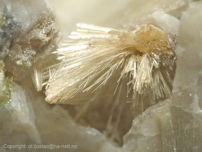 Tobermorite-11Å: Mineral information, data and localities.