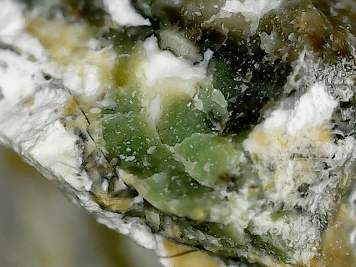 Larnite: Mineral information, data and localities.